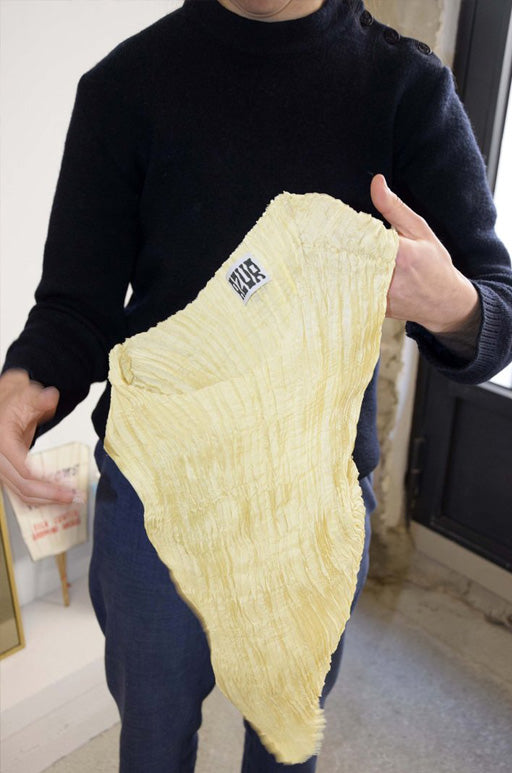 Meeting with Lisa Favreau and Lisa Guedel-Dolle, co-founders of the Az ...